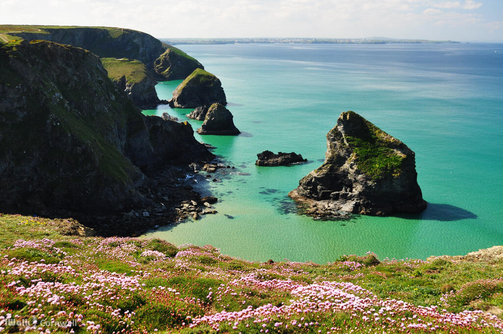 Bedruthan Steps to Porthcothan Dog Walk | Coastal Walk Near Padstow ...