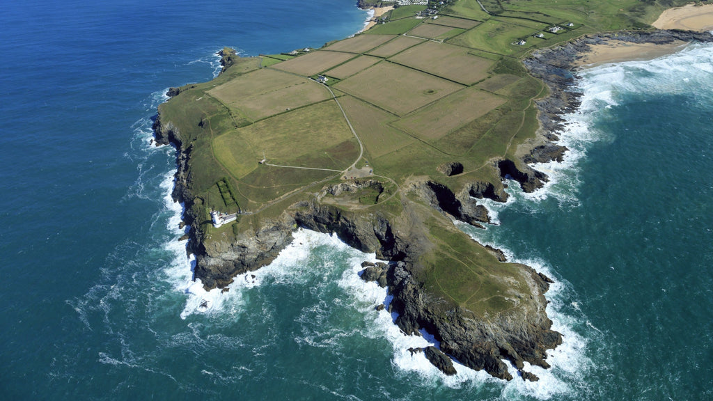 Trevose Head Short Dog Walk Near Padstow | Coastal Walk Cornwall ...