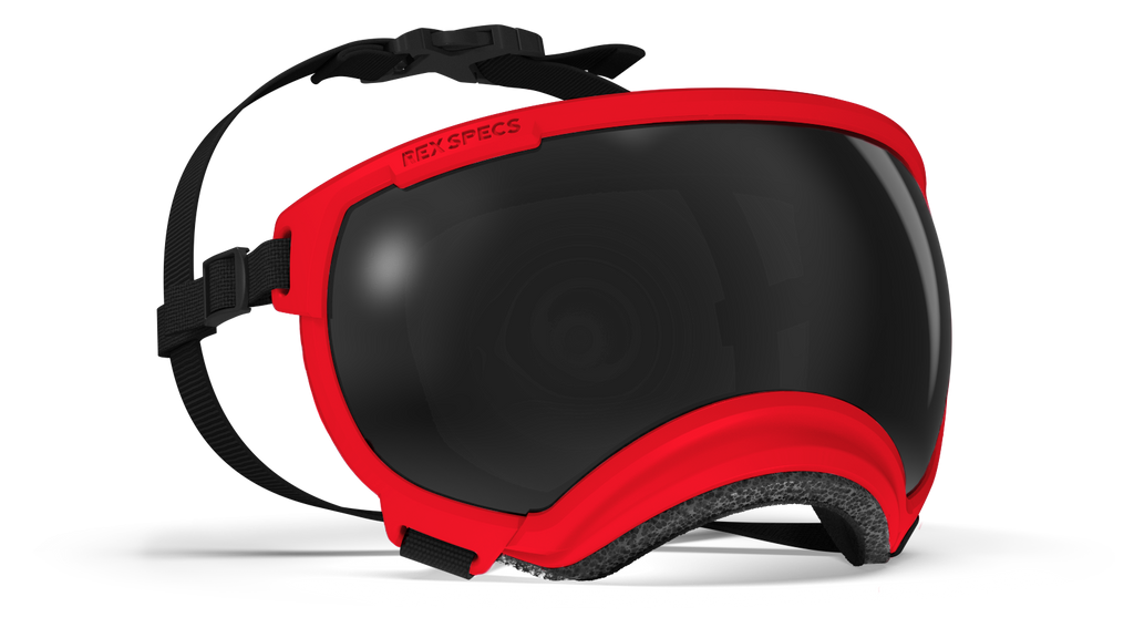 Rex Specs Dog Goggles V2